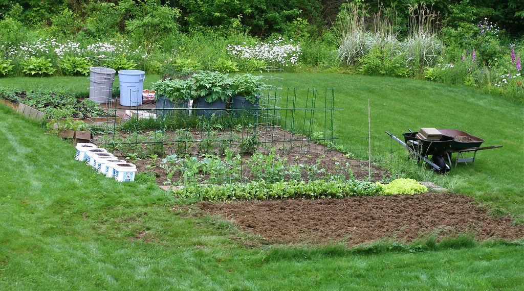 Ultimate Guide On A Quick And Easy Vegetable Garden – Home Designs HQ